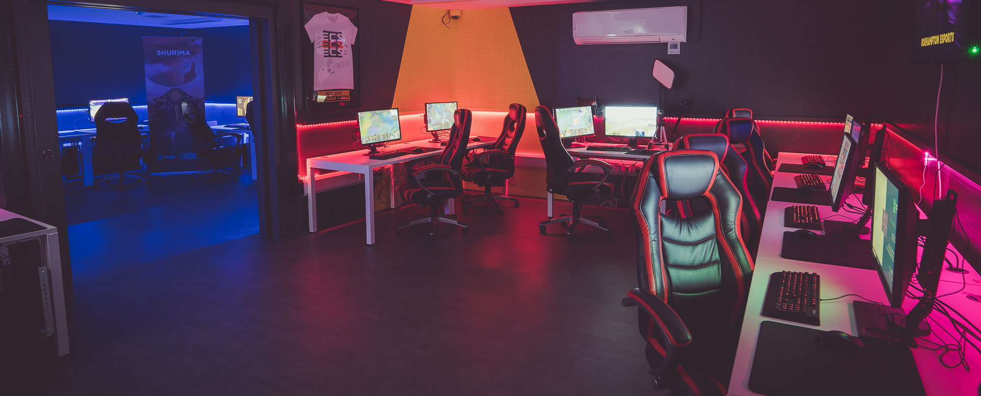 Roehampton University | National Student Esports