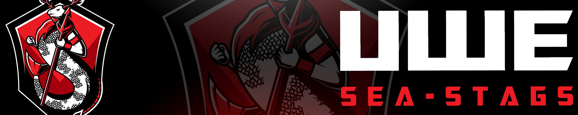 Rift Rizzlers-League of Legends | National Student Esports