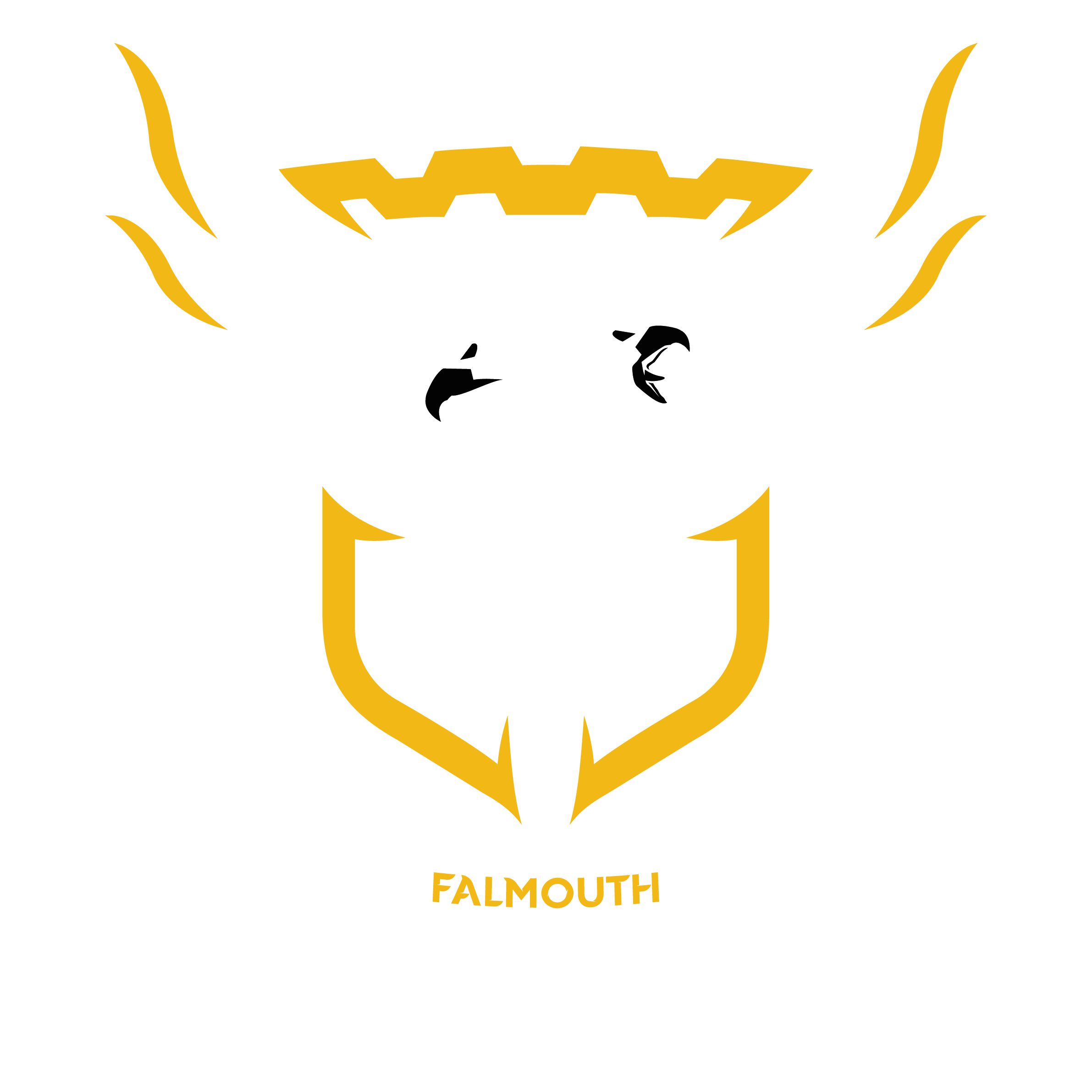 FXU (Falmouth & Exeter Student's Union) | National Student Esports