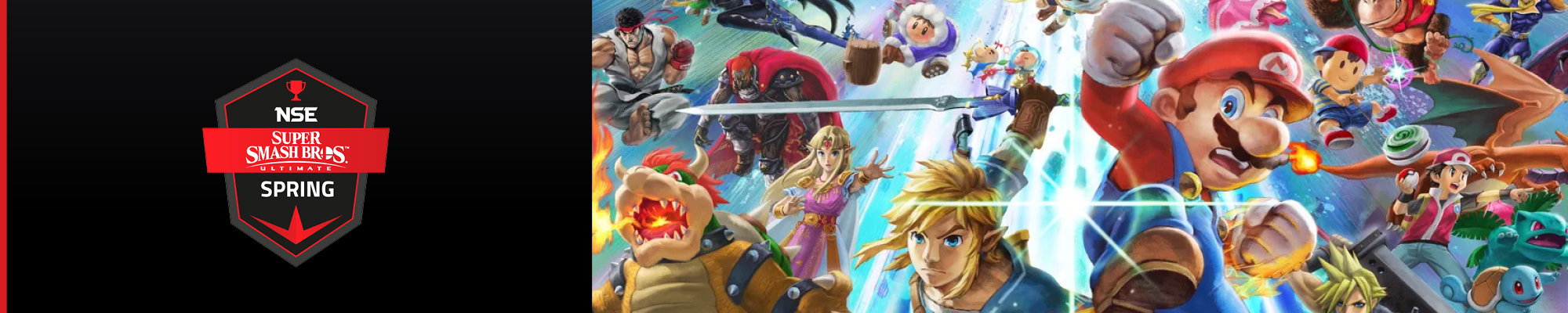 Super Smash Bros. Ultimate NSE February Cup | National Student Esports