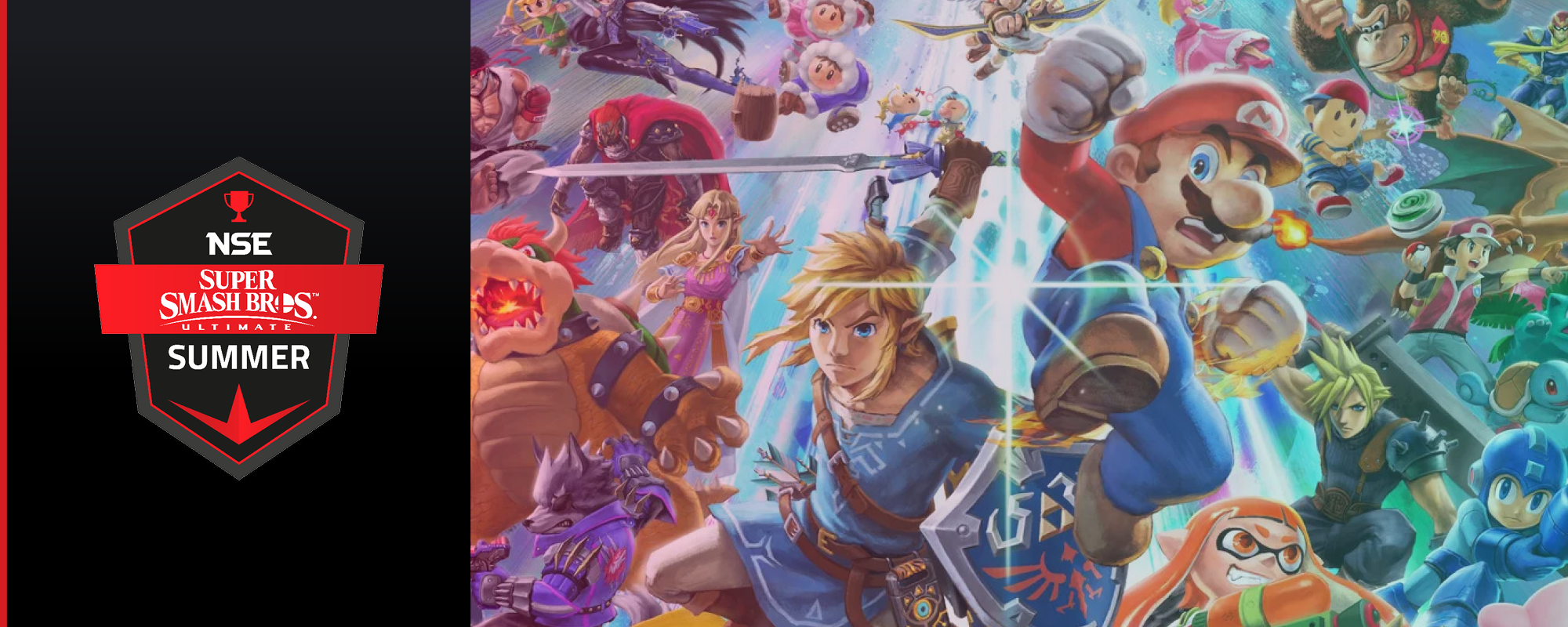 Super Smash Bros. Ultimate July Cup | National Student Esports