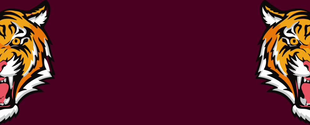 Trinity Tigers-Rocket League | National Student Esports